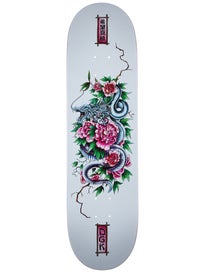 DGK - Skate Warehouse
