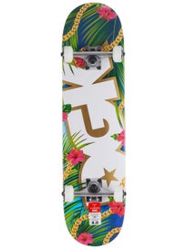 DGK - Skate Warehouse