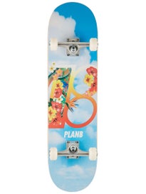 Plan B - Skate Warehouse