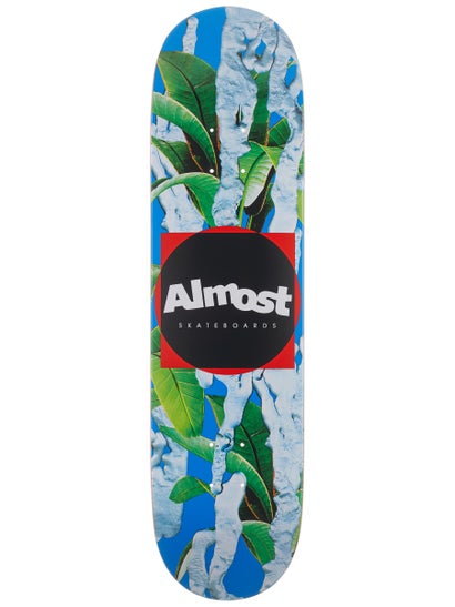 Pro Model Skateboard Decks - Skate Warehouse