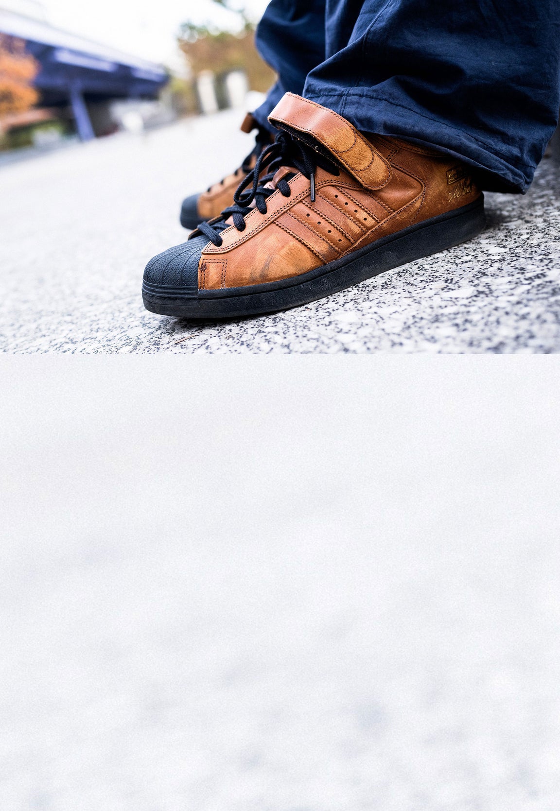 Skate Warehouse | Best Selection of Skate Decks, Complete Skateboards ...