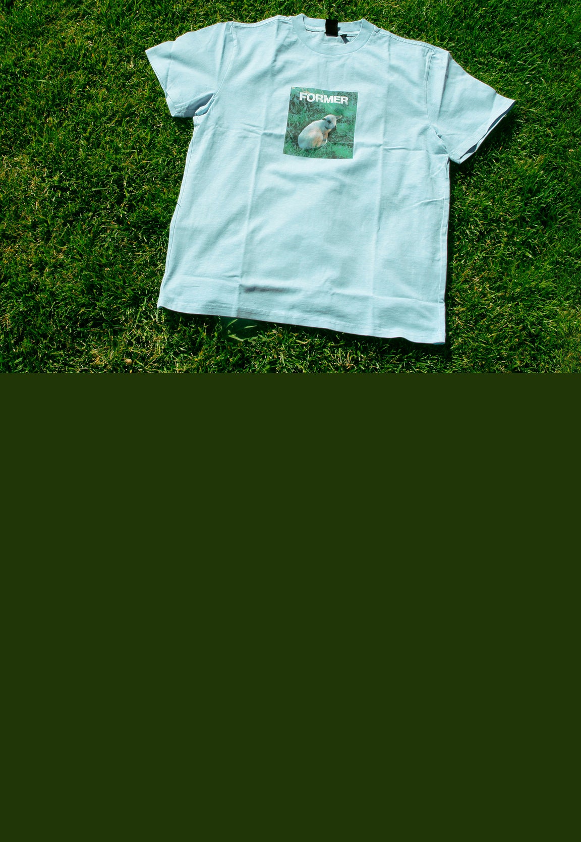 Skate Warehouse | Best Selection of Skate Decks, Complete Skateboards ...