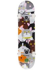 Pre-Built Complete Skateboards - Skate Warehouse
