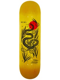 Real Skateboard Decks - Skate Warehouse