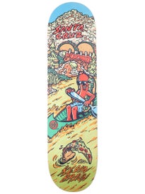 Santa Cruz Skateboard Decks - Skate Warehouse