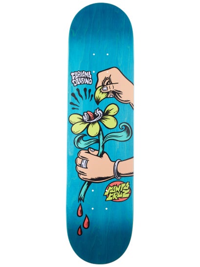 Santa Cruz Skateboard Decks - Skate Warehouse
